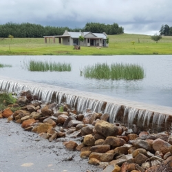 Blue Crane Farm | Dullstroom Accommodation